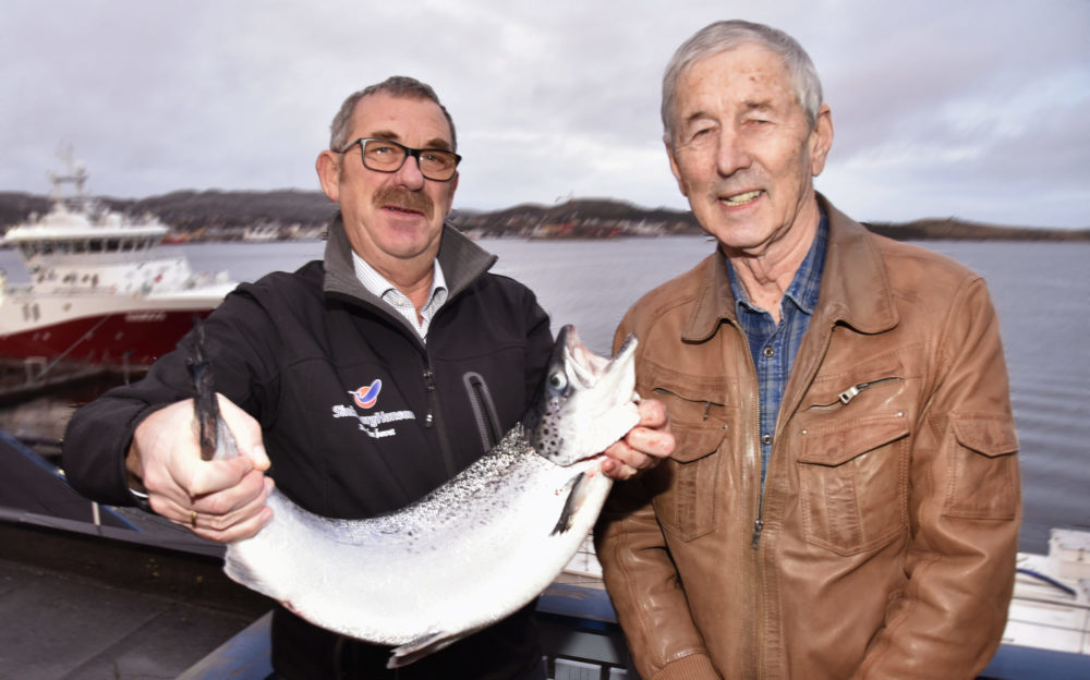 Historikk - Sinkaberg AS