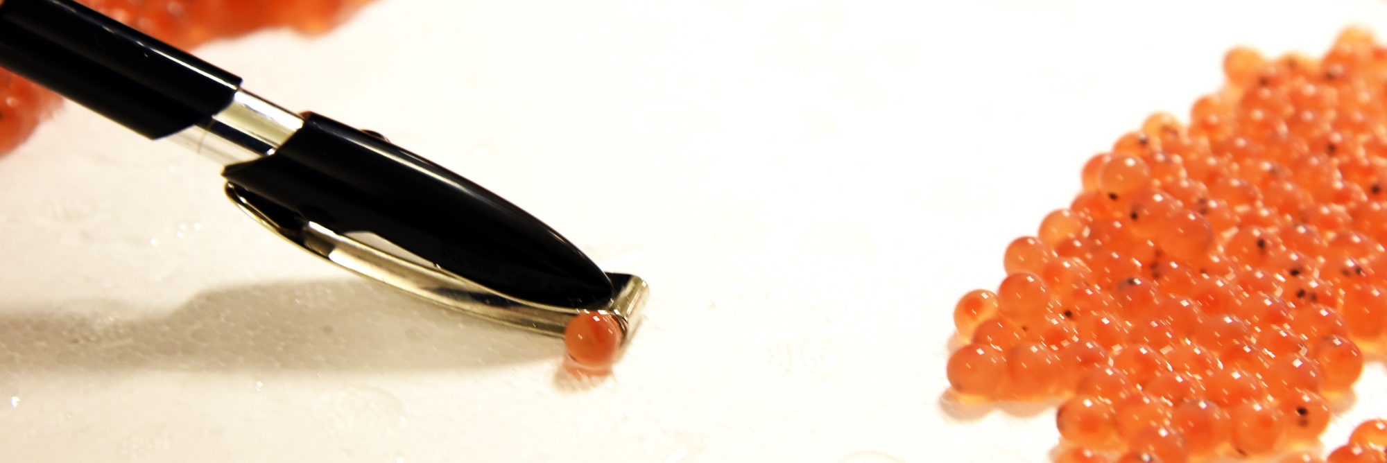 Settefisk - Sinkaberg AS