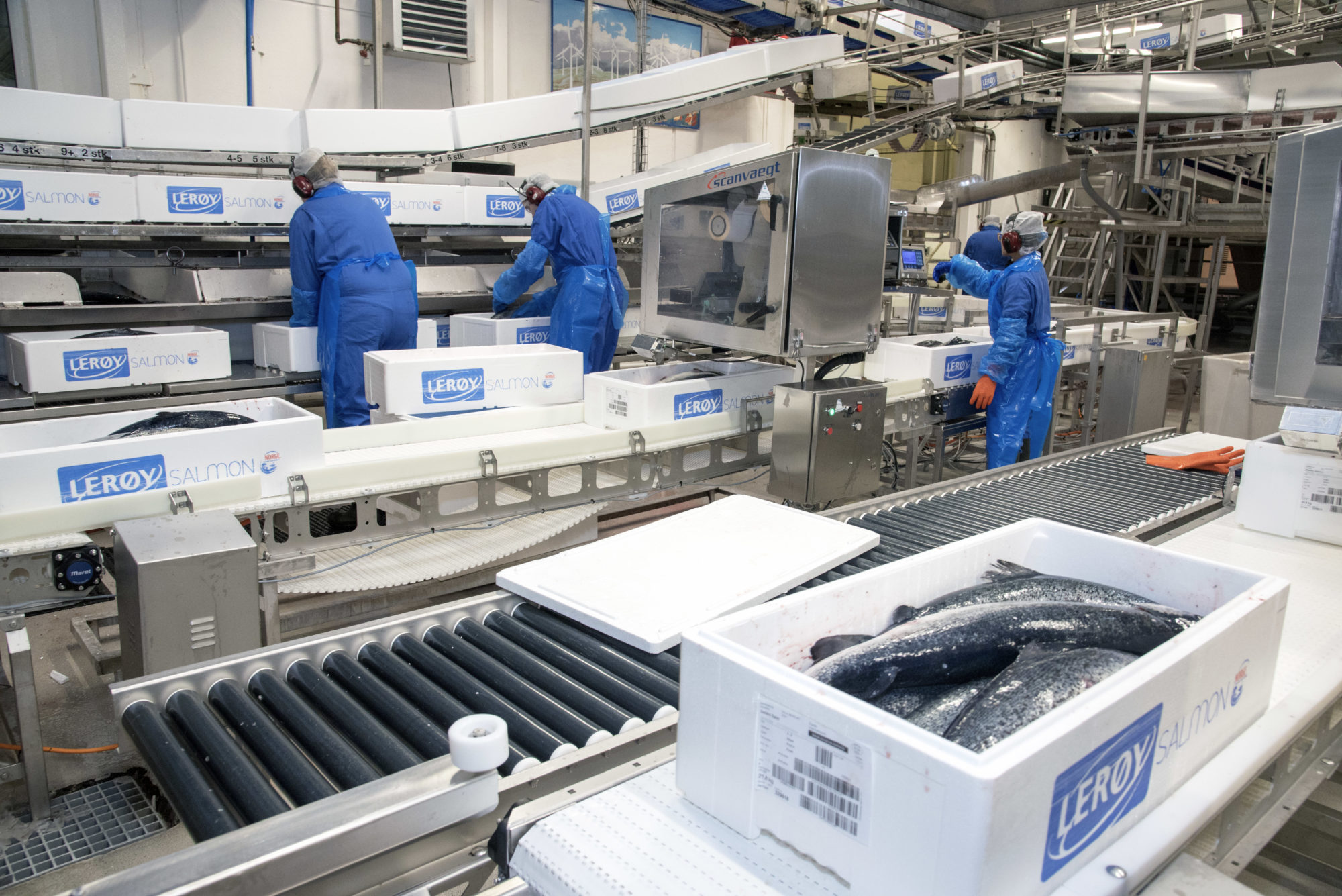 Slakteri - Sinkaberg AS