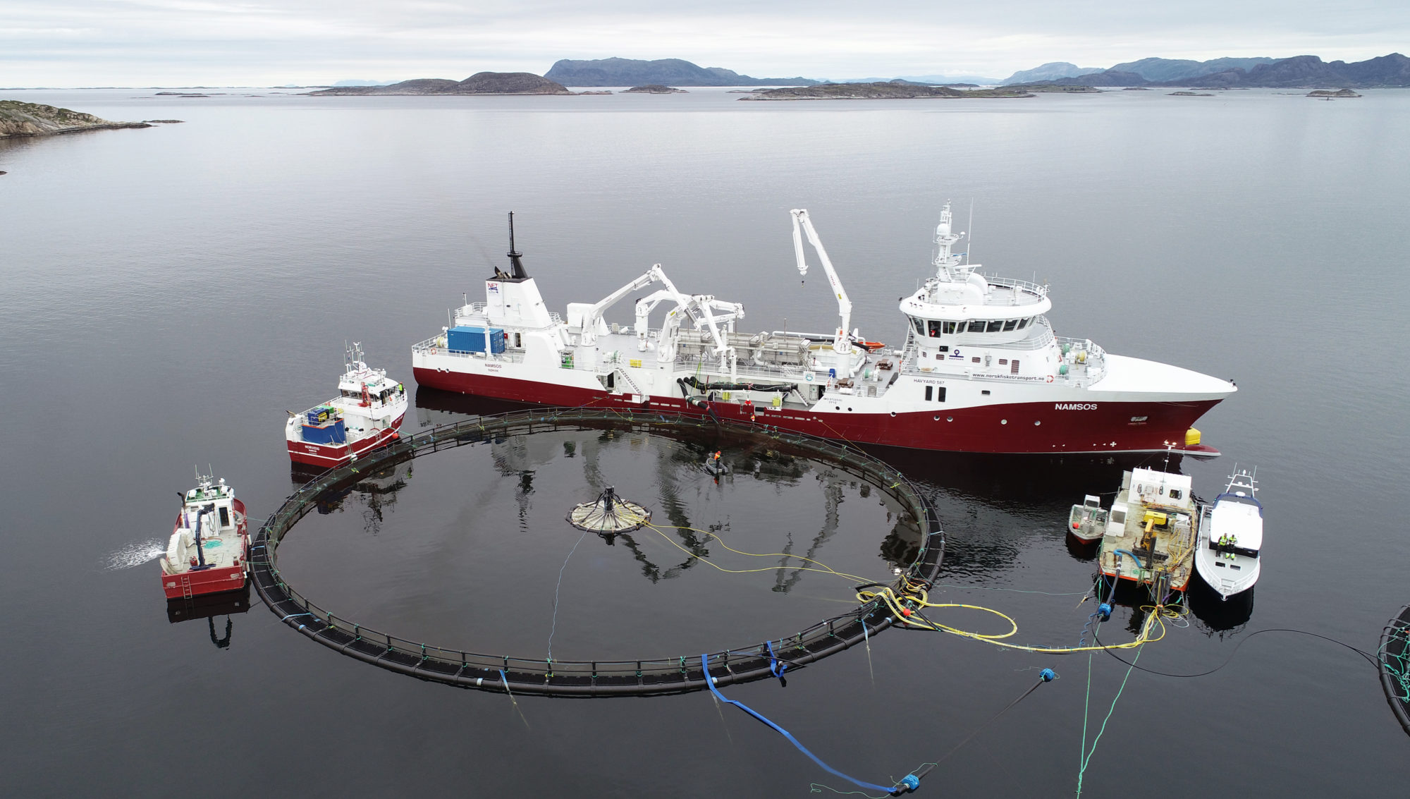 Se ATLANTIS senket MED FISK (video!) - Sinkaberg AS