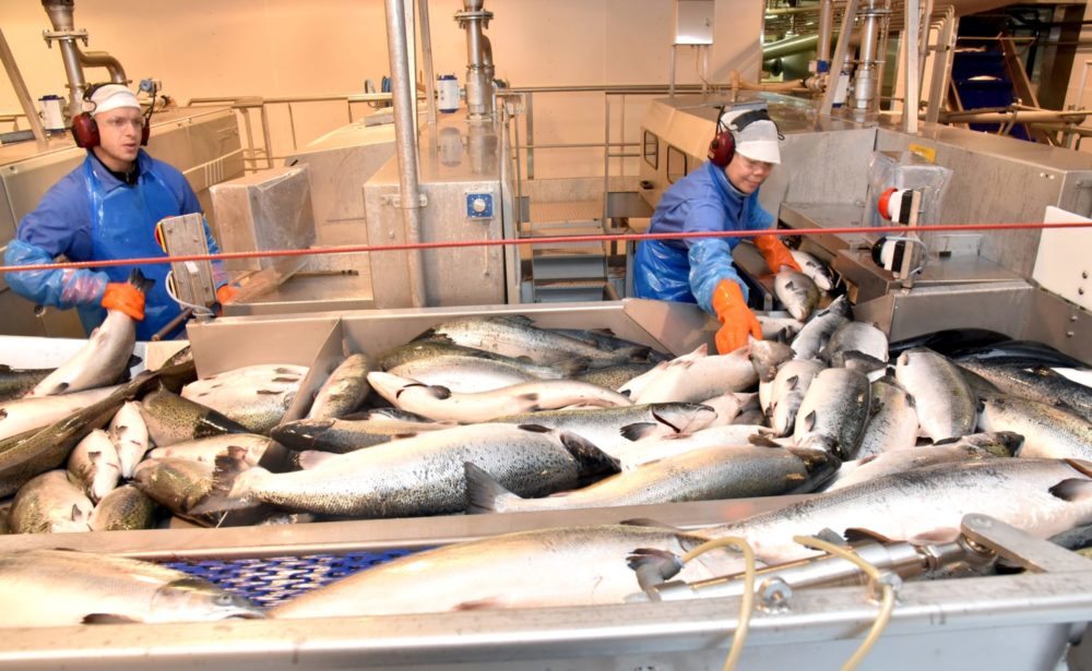 Historikk - Sinkaberg AS