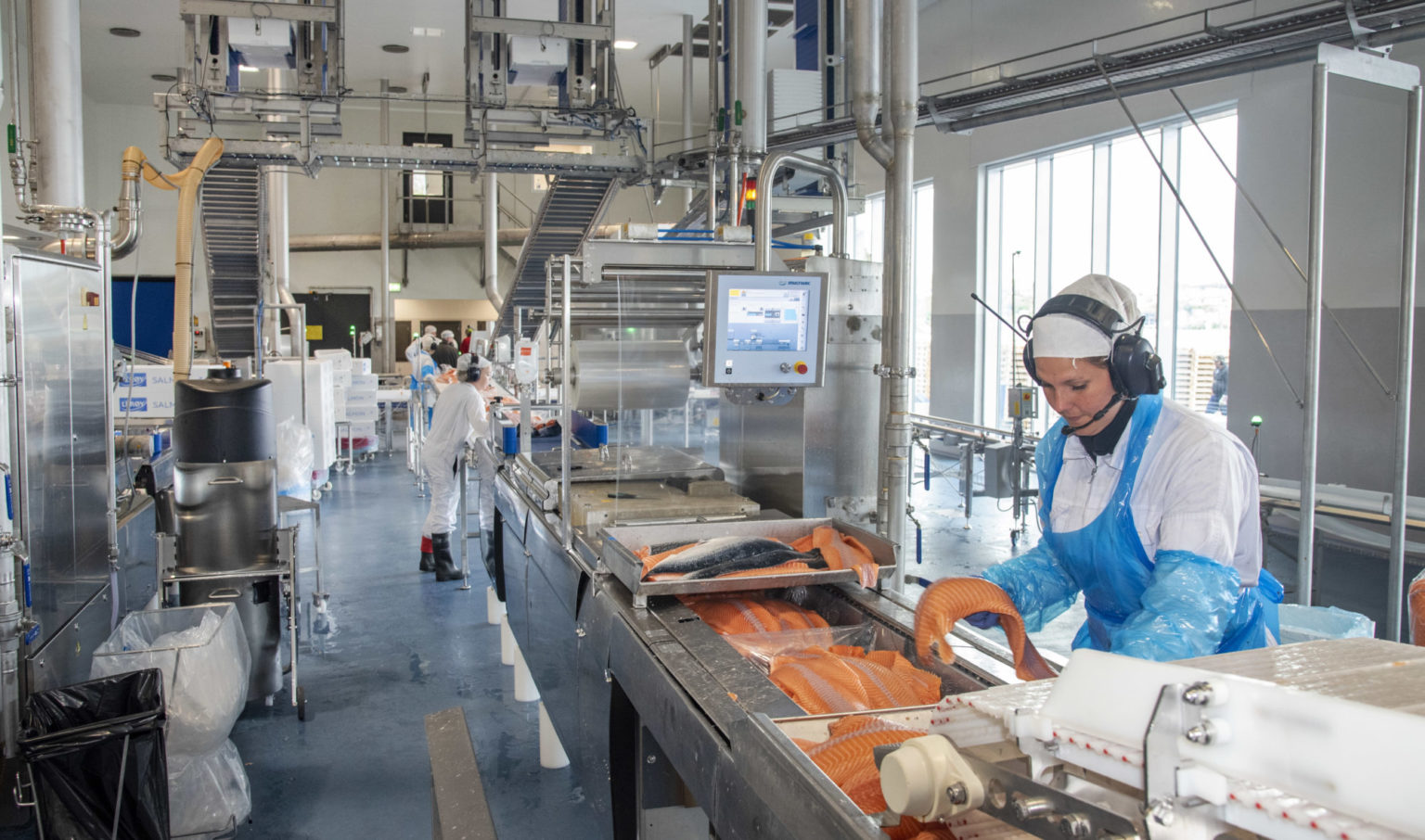 Mulighet: Søk og bli LÆRLING i SinkabergHansen - Sinkaberg AS