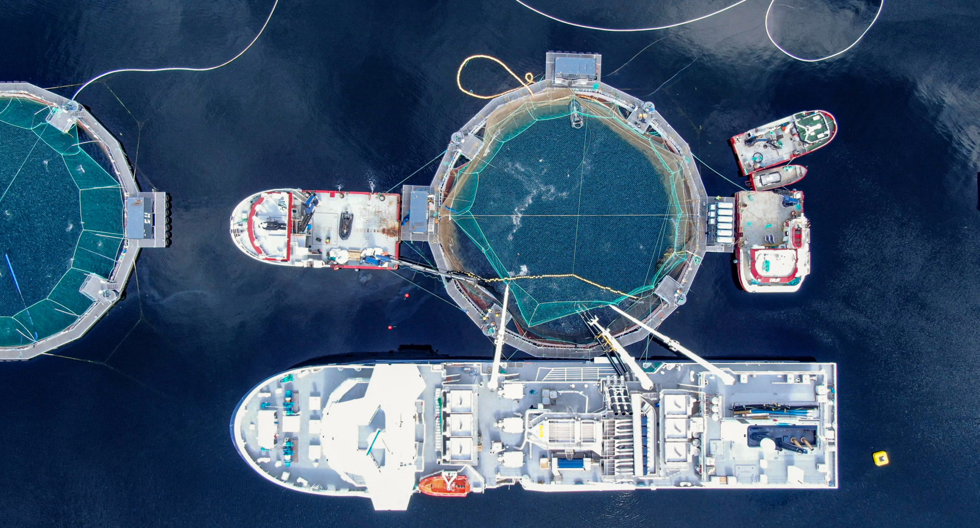 BÆREKRAFT - Sinkaberg AS