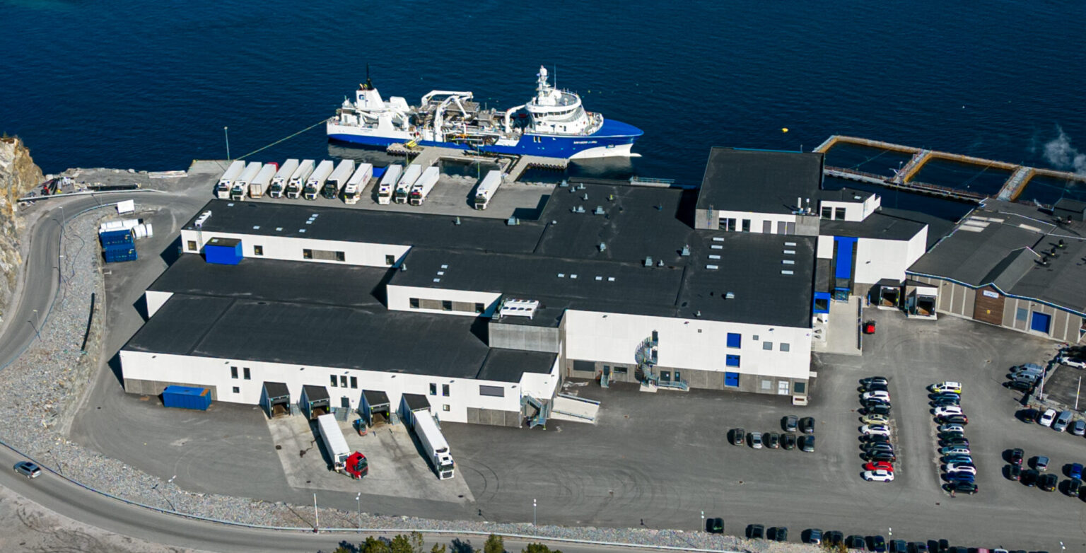 BÆREKRAFT - Sinkaberg AS