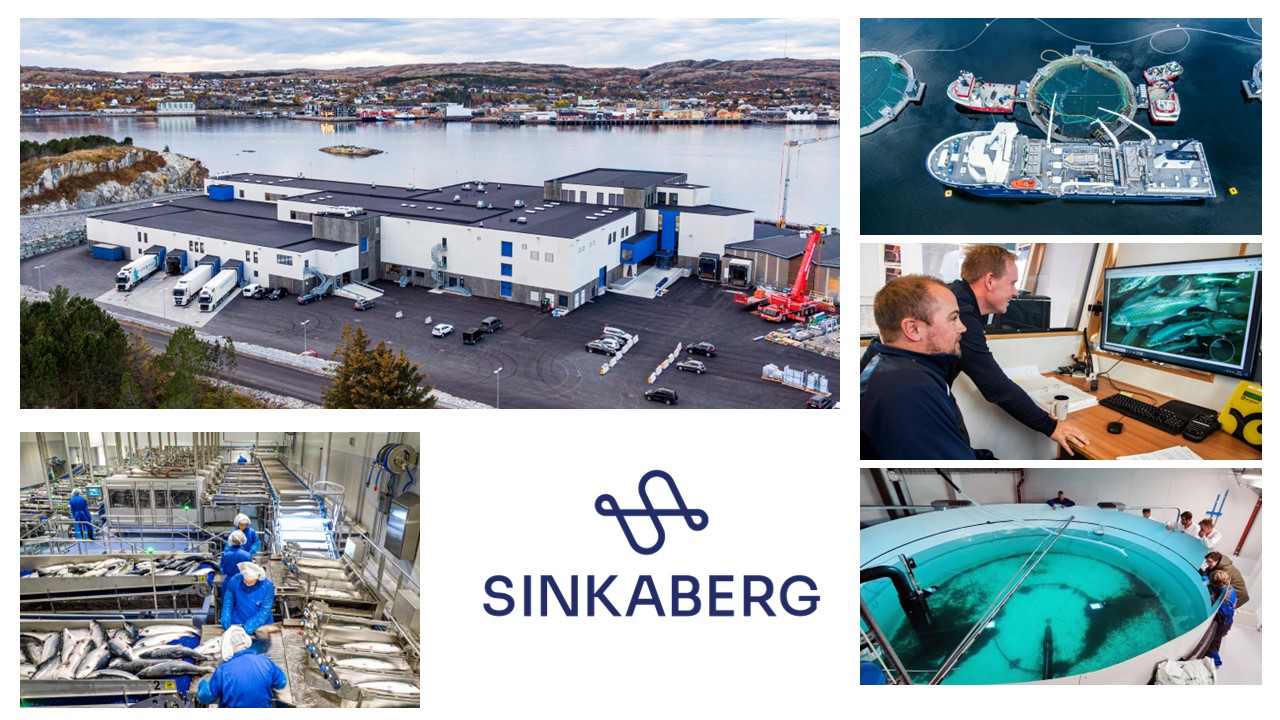 Sertifikat - Sinkaberg AS